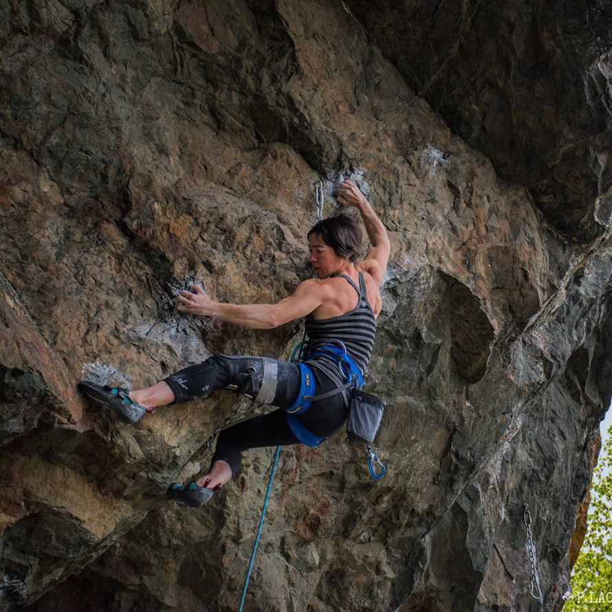 Metolius Safe Tech Trad Harness | WILDERNESS EXCHANGE™